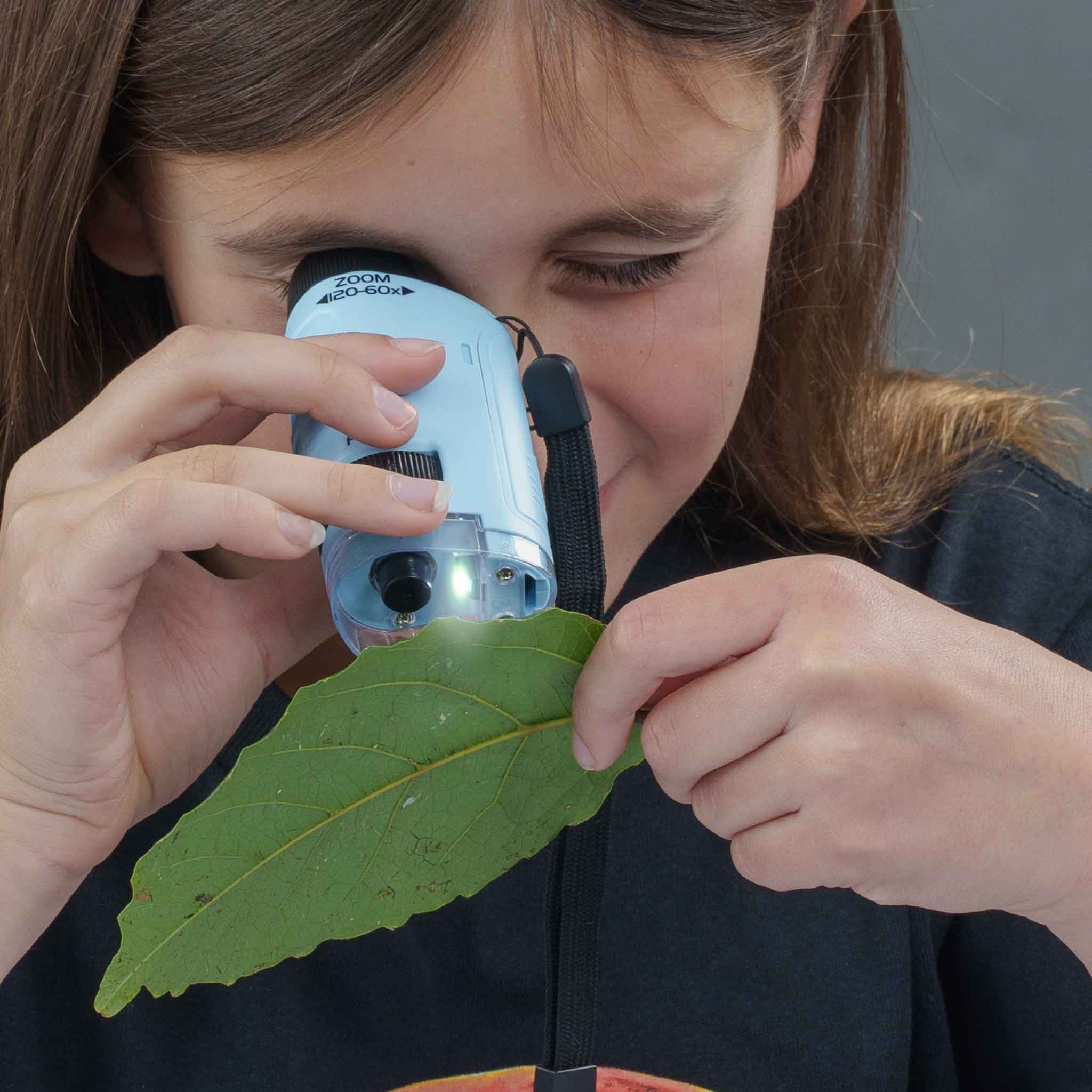 Heebie Jeebies Australia