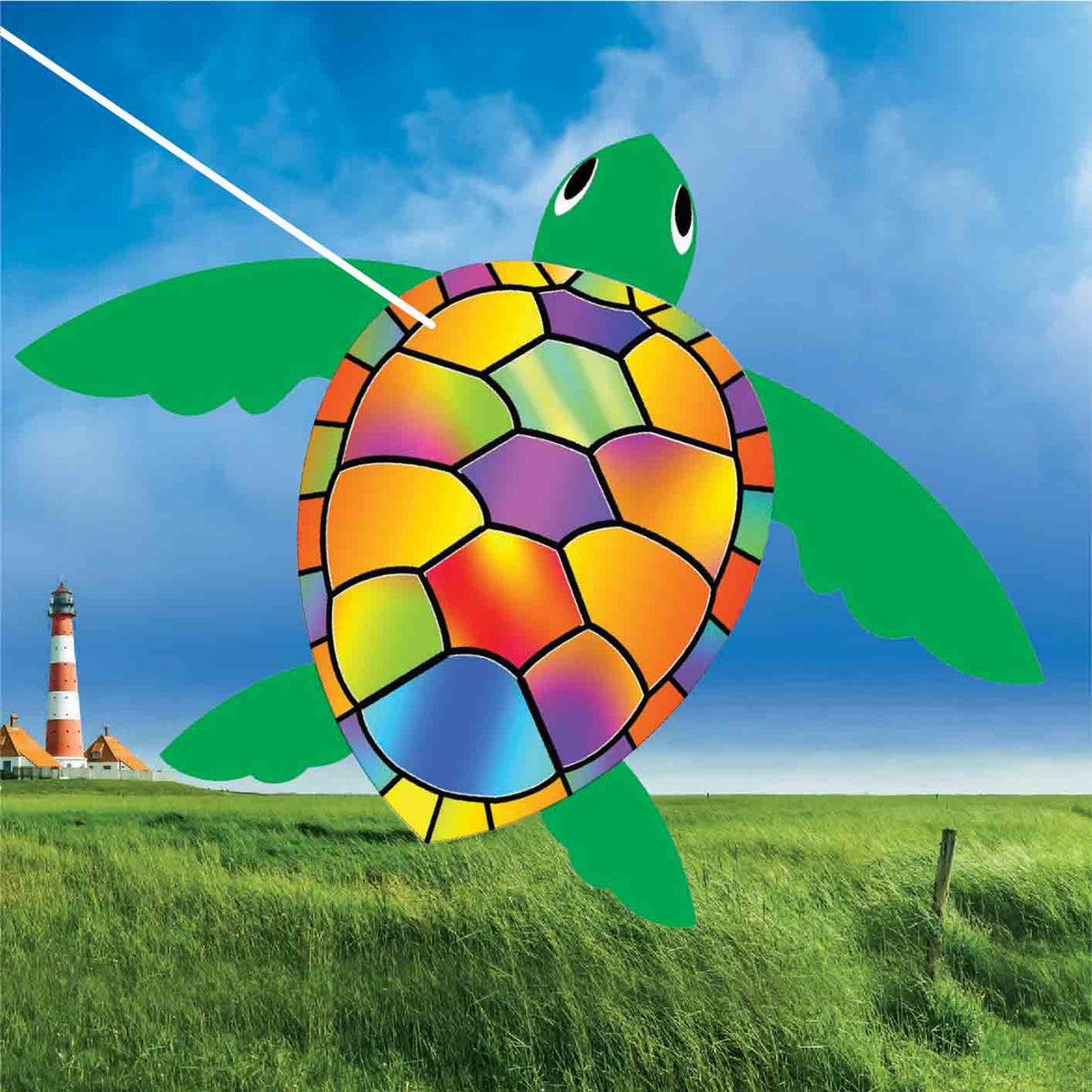 Giant Turtle — Heebie Jeebies Aus