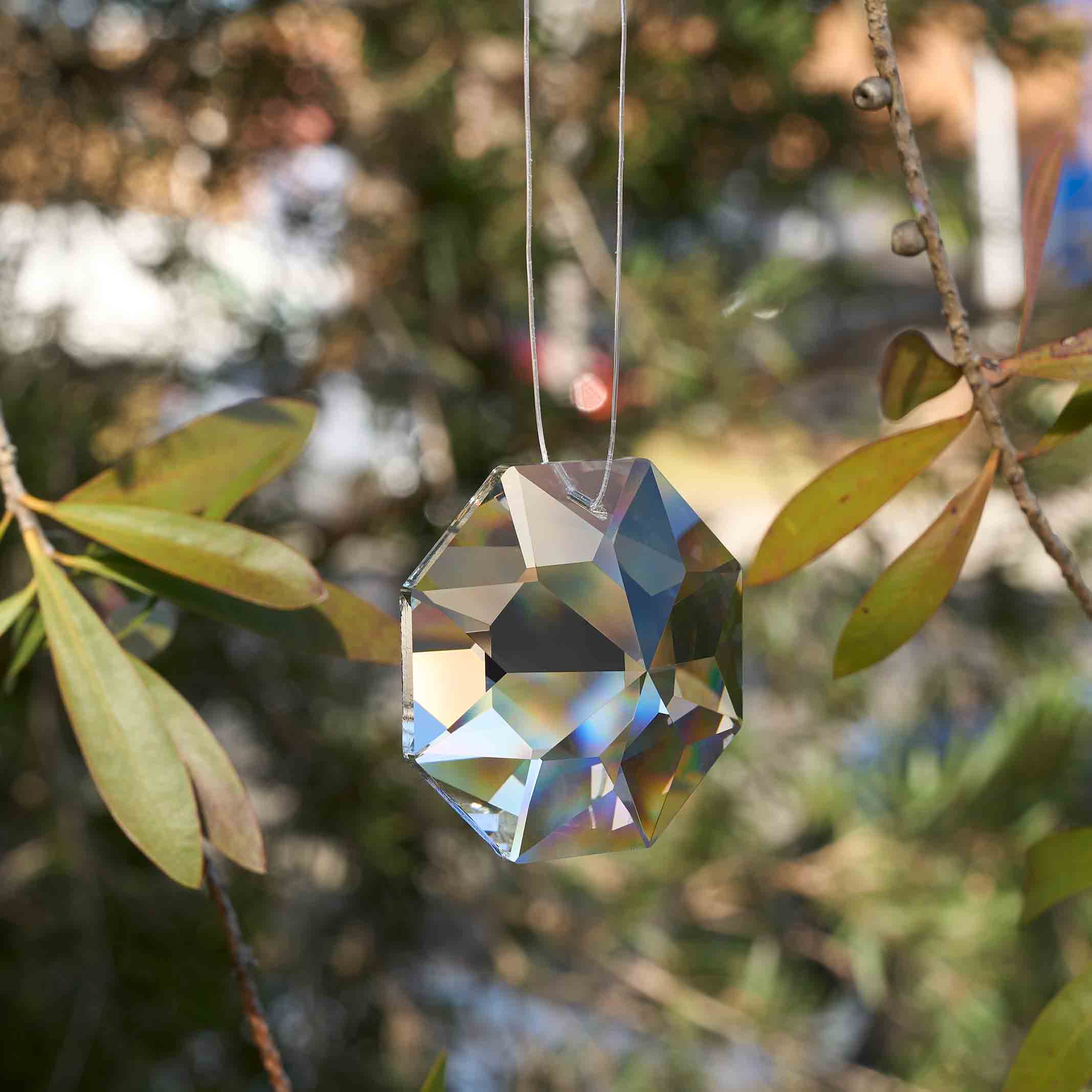 Rainbow Prism - Crystal Sun Catcher — Heebie Jeebies Aus