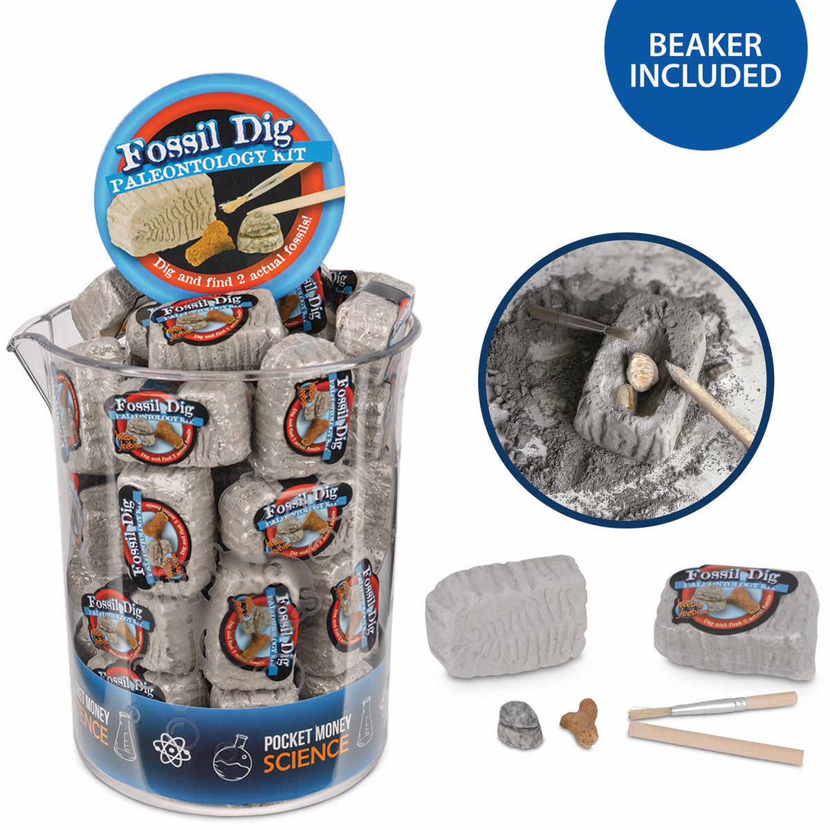 Pocket Money Science | Fossil Dig | Mini Paleo kit — Heebie Jeebies Aus